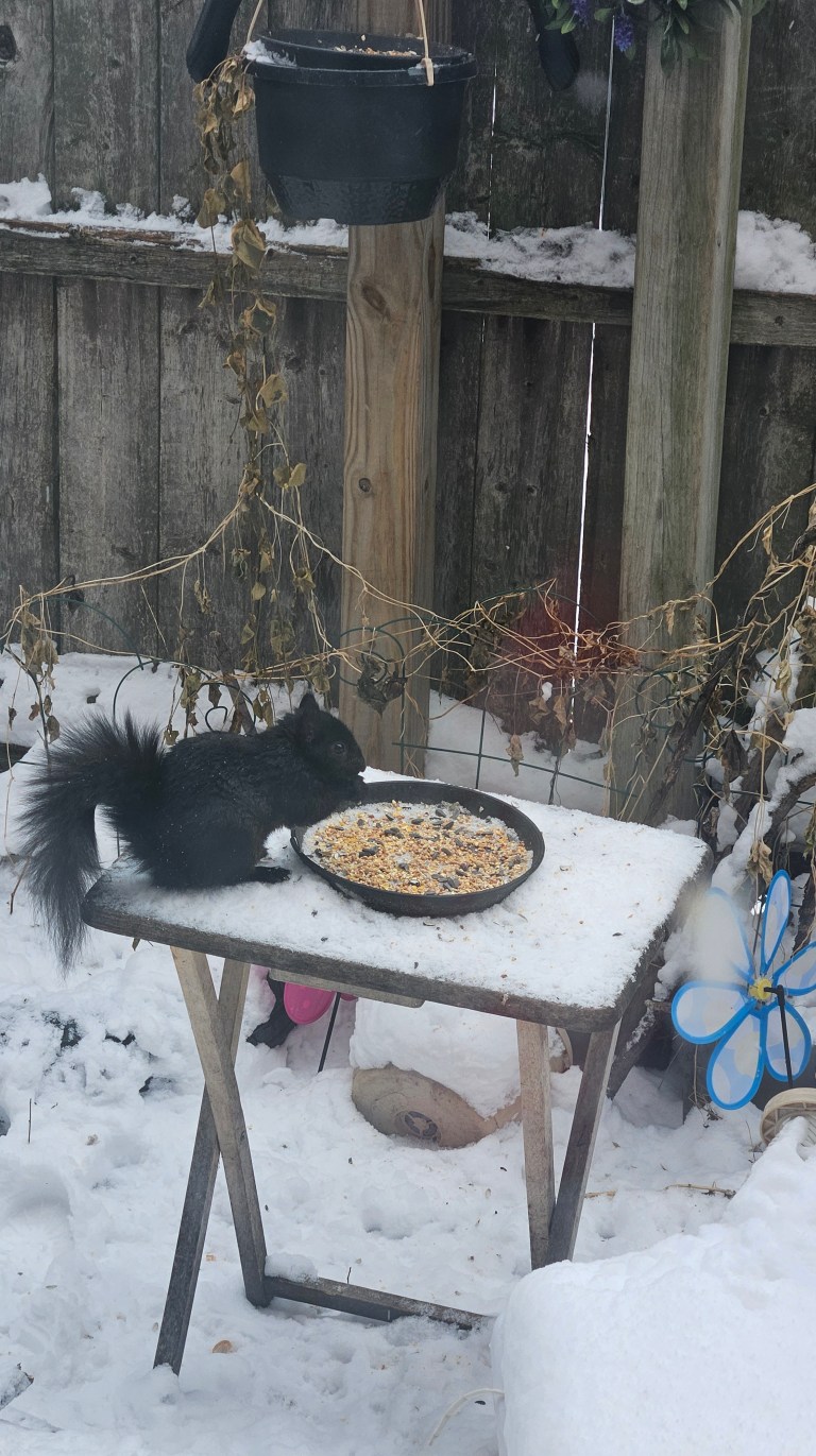 Slushy Snow Day – Jenn Doing My Best